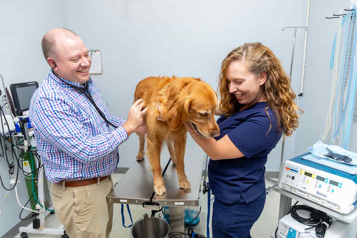 High-Quality Vet Hospital in Fort Collins, CO | Harmony Road Veterinary Clinic